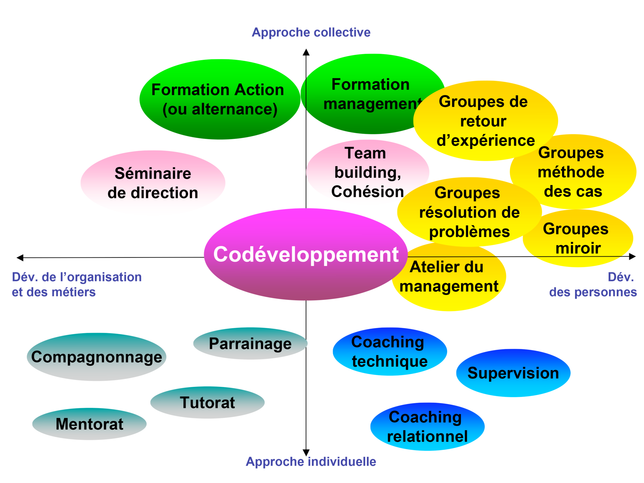 Savoir animer des groupes de Codéveloppement - Team intelligence